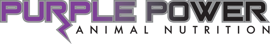 Supplements – Purple Power Animal Nutrition